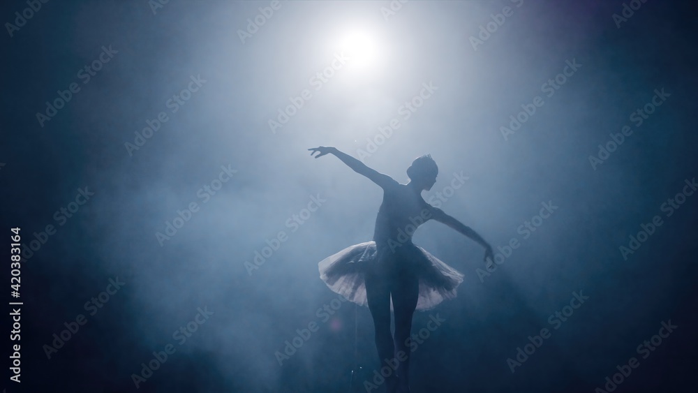 Young Prima Ballerina Dancing In Front Of Audience In Full Ballet Dress ...