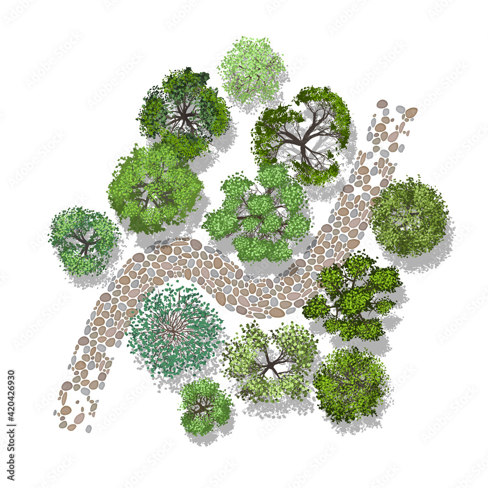 Vector illustration. Landscape design. Top view. Path, trees and ...