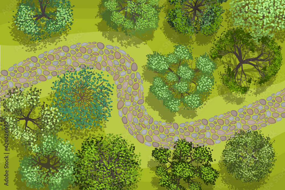 Vector illustration. Landscape design. Top view. Path, trees and ...