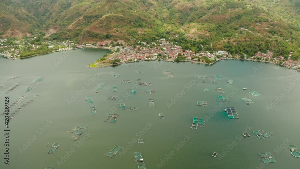 Fish farm on Lake Taal, Philippines, where locals breed fish for sale ...