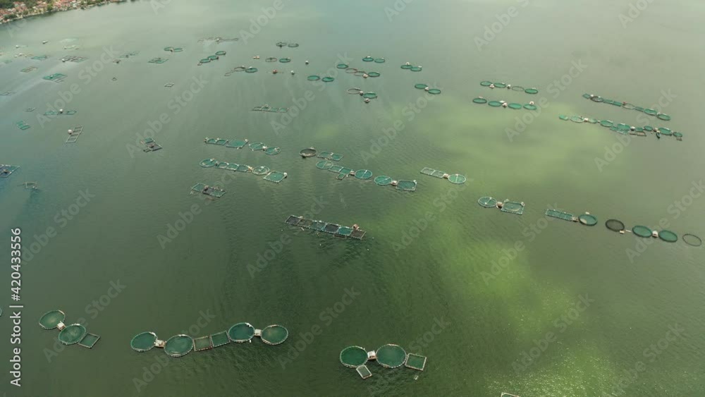 Aerial view of fish farm with cages for fish and shrimp on the lake ...