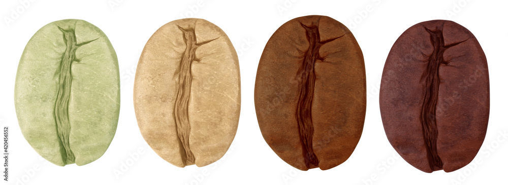 Coffee beans realistic set showing different stages of roasting ...