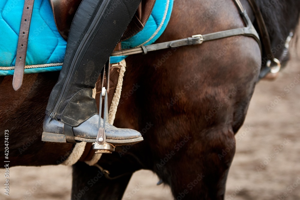 A foot, a shoe in a horse stirrup. Preparation for driving. The photo ...