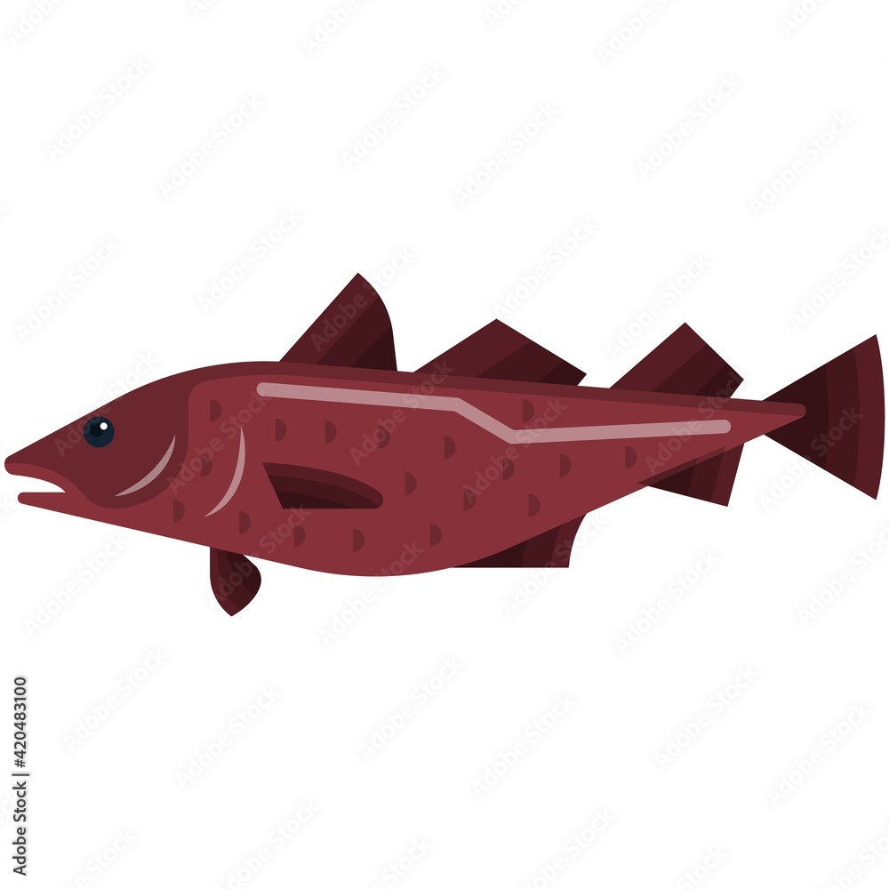 Cod fish vector illustration isolated on white Stock Vector | Adobe Stock