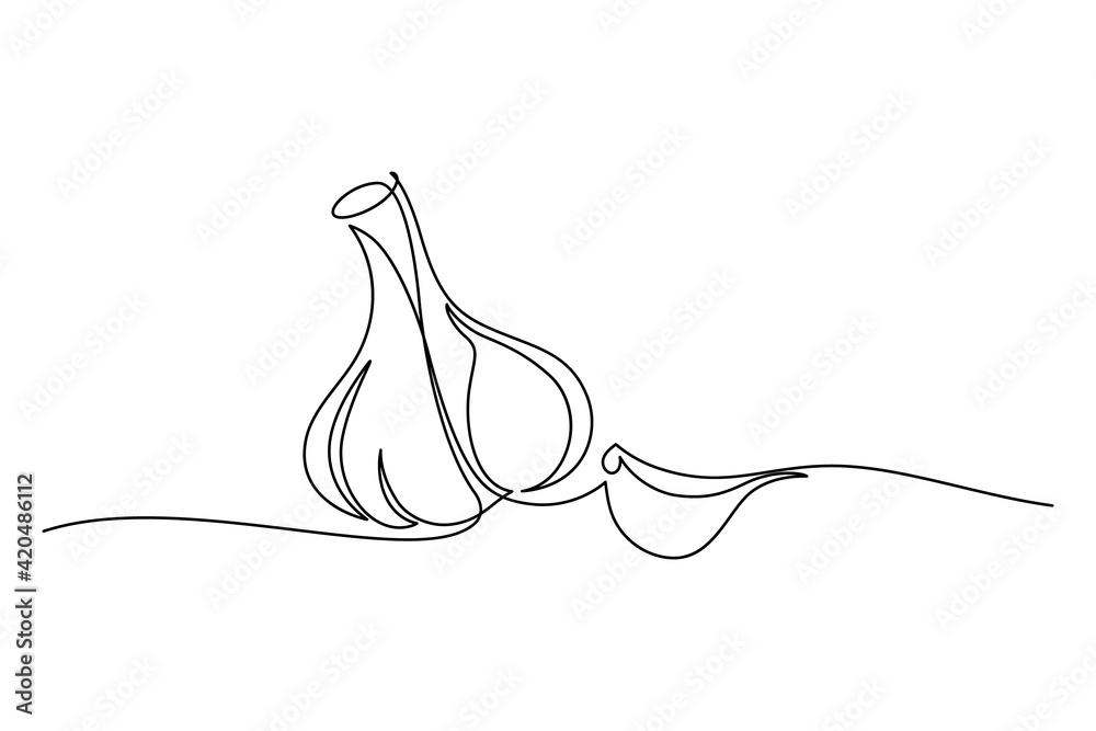 Garlic in continuous line art drawing style. Garlic bulb with separated ...