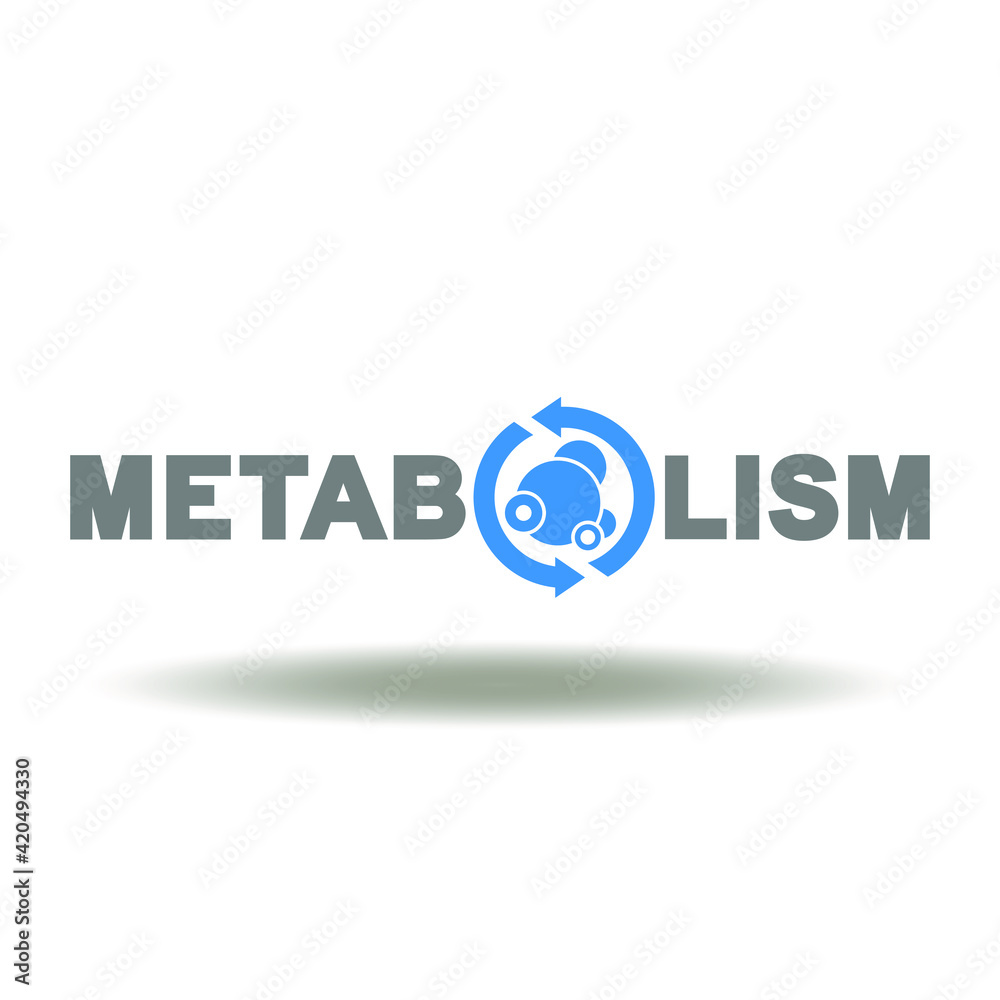 Metabolism word with arrow cycle chemical process and molecule vector ...