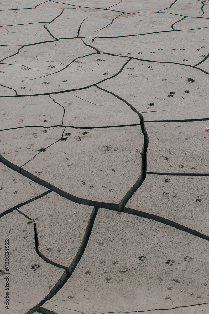 Dry Cracked Land Texture Stock Photo | Adobe Stock Dry Cracked Land Texture Stock Photo | Adobe Stock