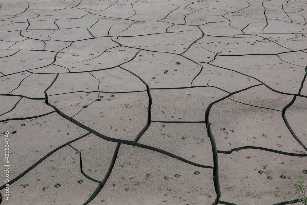 Dry Cracked Land Texture Stock Photo | Adobe Stock Dry Cracked Land Texture Stock Photo | Adobe Stock
