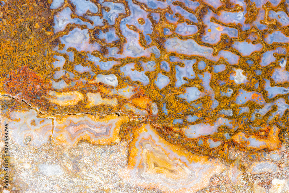 Dinosaur Bone Rock Slab Background Stock Photo | Adobe Stock