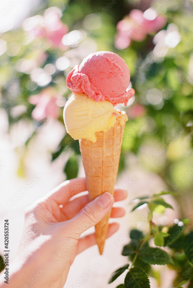 ice cream Stock Photo | Adobe Stock
