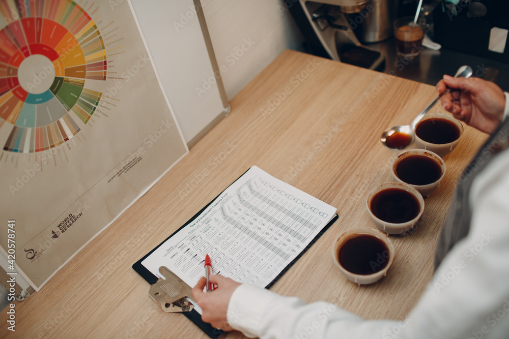 Cup Taster Girl Tasting Degustation Coffee Quality Test. Coffee Samples ...