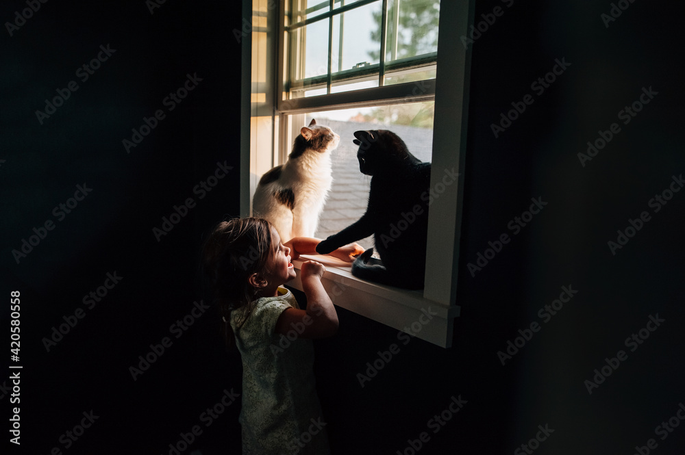 Little girl playing with cats in the window. Stock Photo | Adobe Stock