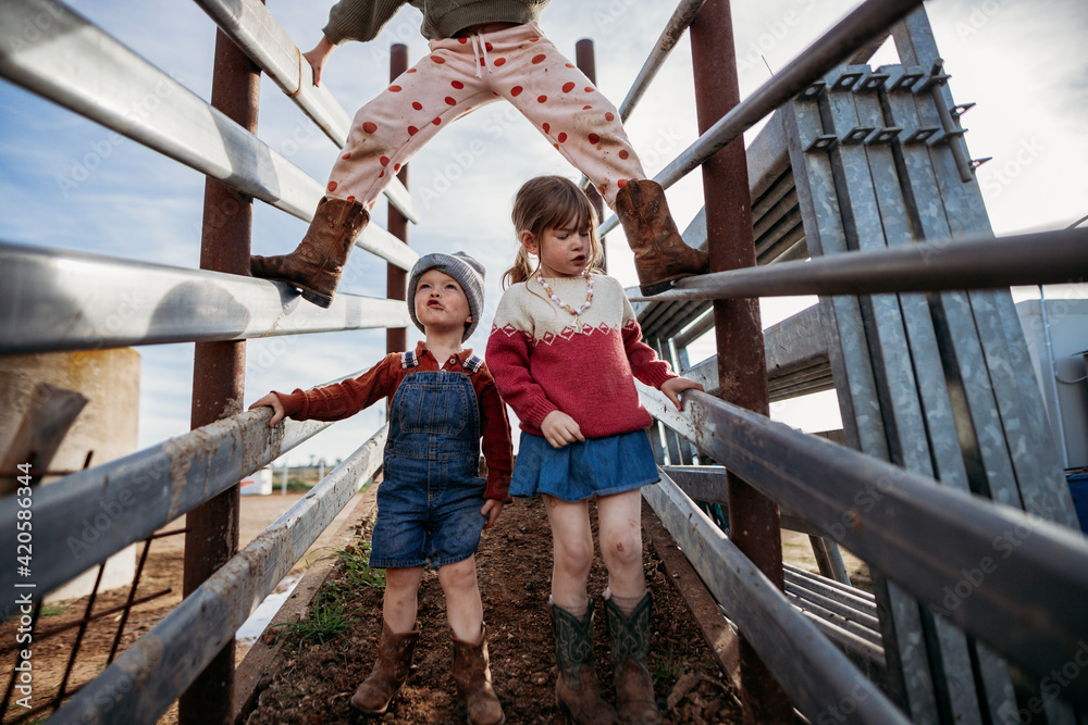 three kids in a cattle race Stock Photo | Adobe Stock