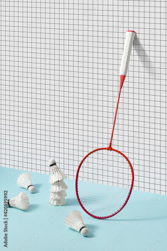Vertical badminton racket with feathered shuttlecocks. Stock Photo ...