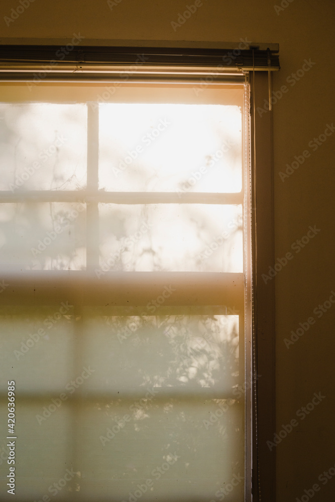 Window silhouette II Stock Photo | Adobe Stock
