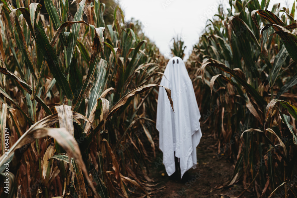 Halloween Stock Photo | Adobe Stock
