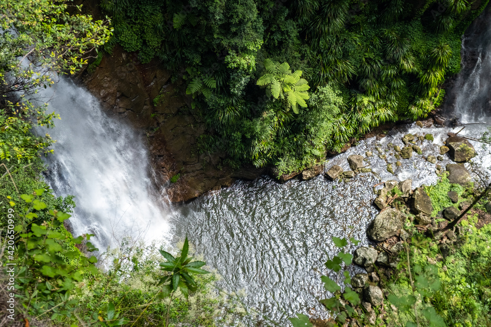 Waterfalls at Binna Burra along the Coomera circuit walk. Lush and ...