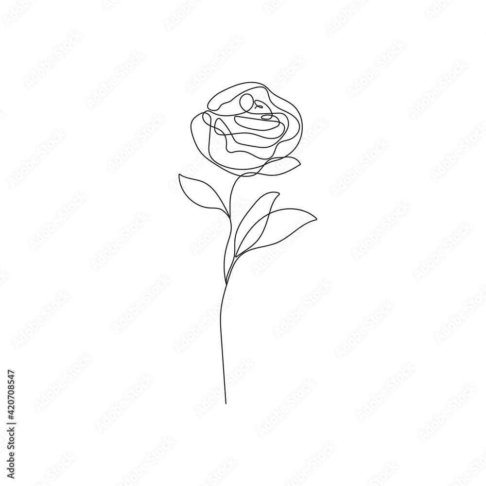 Vector Hand Drawn Line Art Drawing of Flower Rose. Minimalist Trendy ...