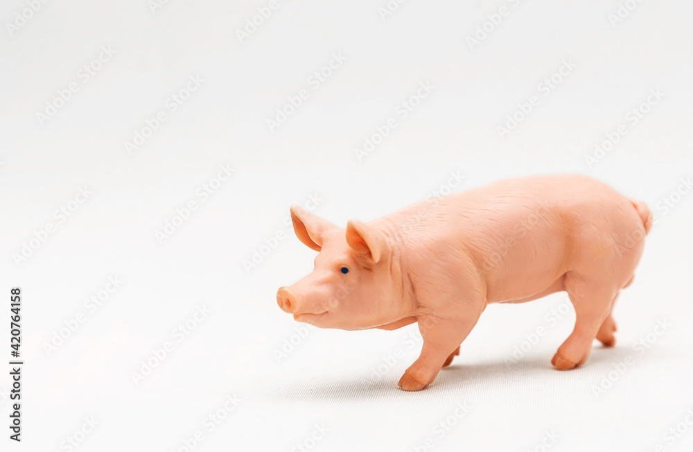Realistic plastic toy pig isolated on white background. Cute little ...