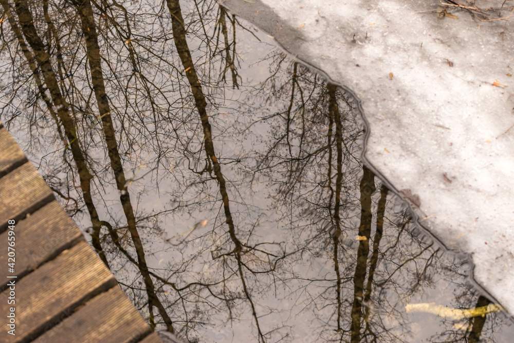 Frozen swamp with dry grass and melted ice water in early spring Stock ...
