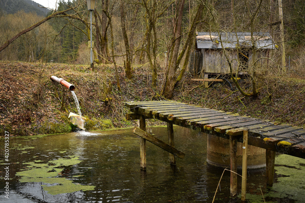Fischteich in der Natur mit Hütte, Wasserzulauf und verwittertem Steg ...