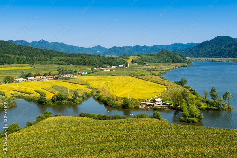 Overlooks the harvest of rice fields and rivers in Benxi, Liaoning ...