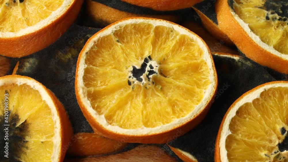 Decay, Orange slice is rotting, Mold and bacteria, Fruit quickly become ...