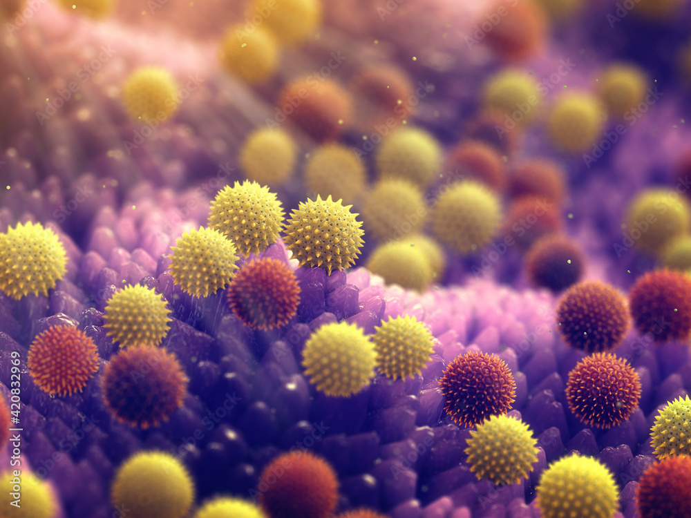 Pollen allergy is also known as hay fever or allergic rhinitis and is ...