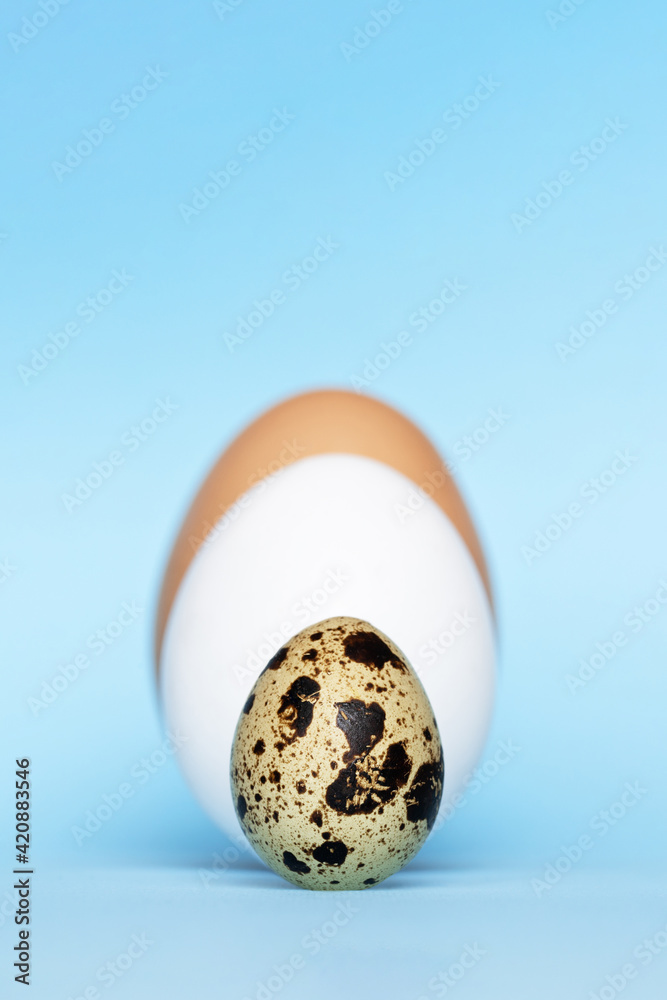Three type of different birds eggs isolated on blue paper background ...