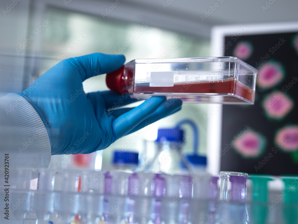 Cell Research, Scientist examining cells in a jar ready to view under a ...