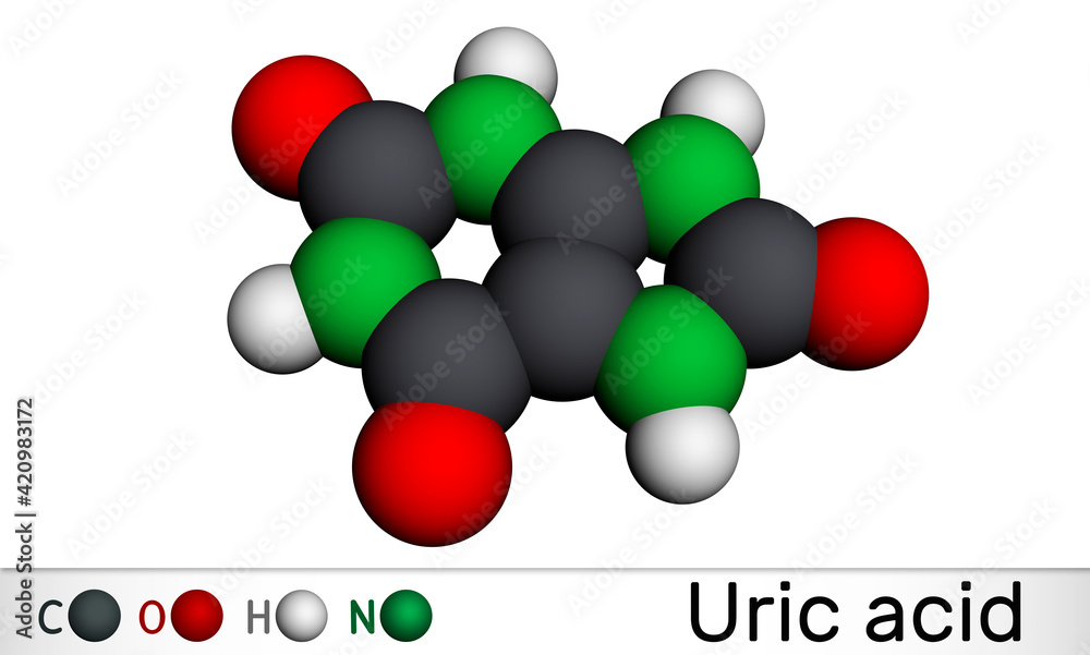 Uric acid molecule. It is heterocyclic compound, crystalline product of ...