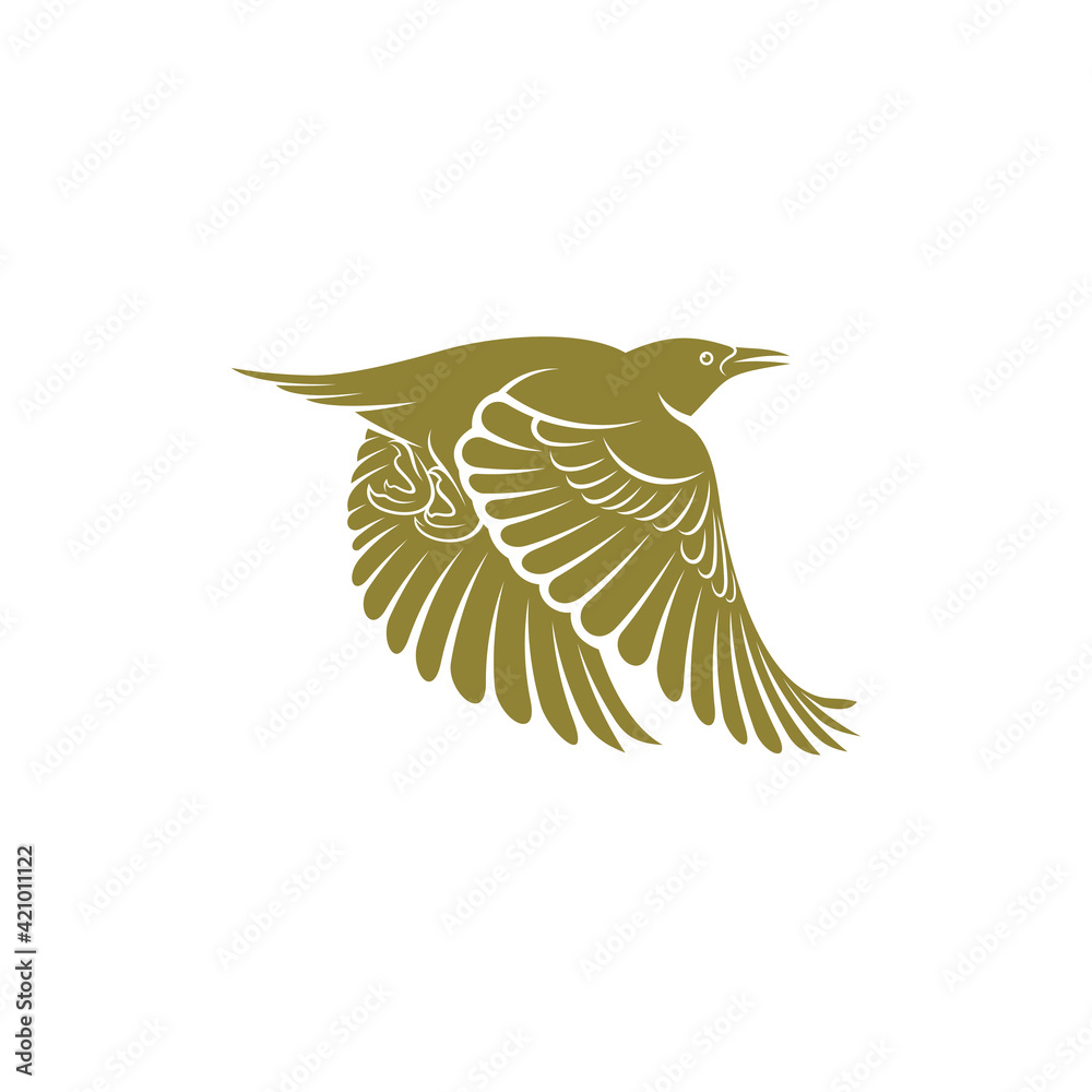 Starling bird design vector illustration, Creative Starling bird logo ...