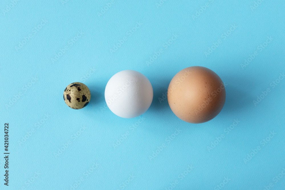 Three type of different birds eggs isolated on blue paper background ...
