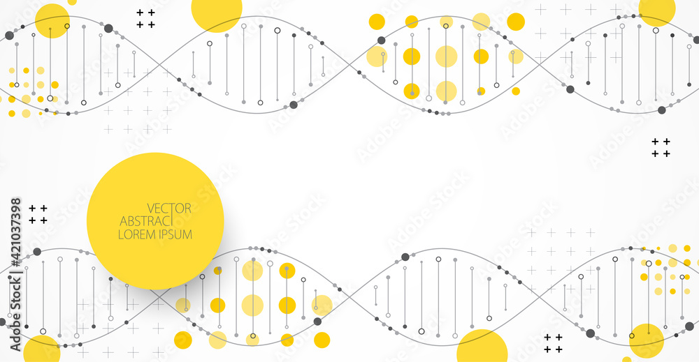 Science template, wallpaper or banner with a DNA molecules. Vector ...