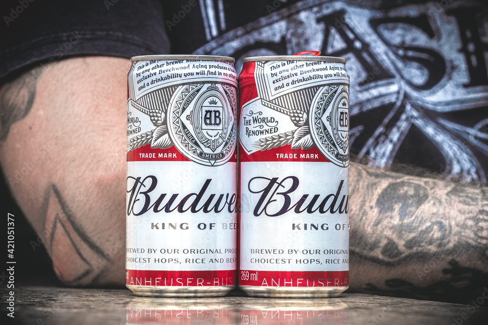 Cerveja Budweiser. Duas latas de cerveja da marca Budweiser sobre uma ...