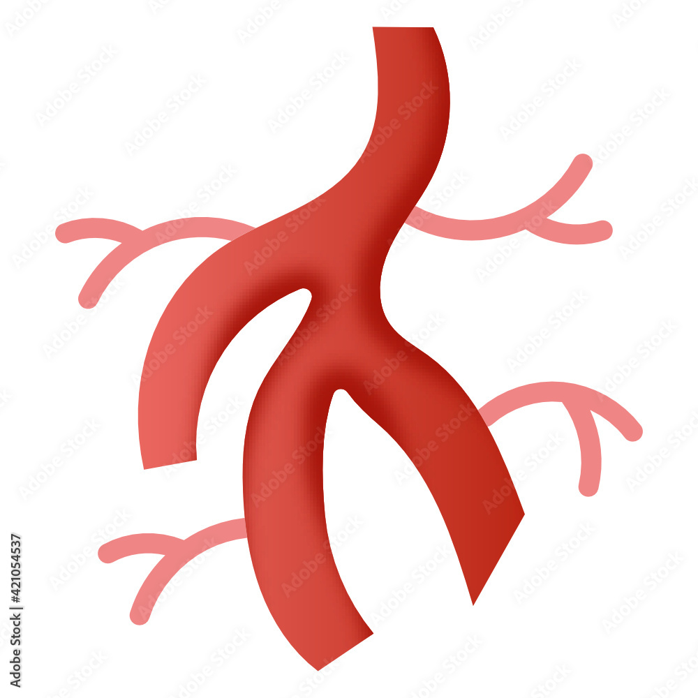 Editable design of arteries icon, flat style vector Stock Vector ...
