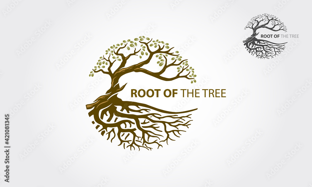 Root Of The Tree vector logo this beautiful tree is a symbol of life ...