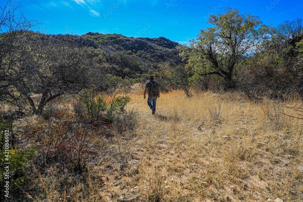 Juan Mario Cirett Galan, ecologist for the wildlife project on the ...