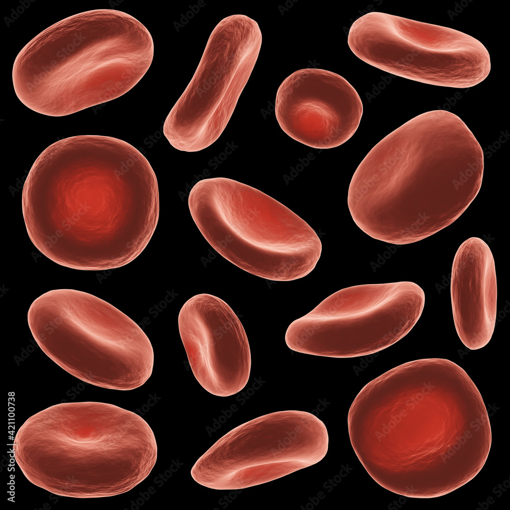 Red blood cells with high detailed surface . Set of different view and ...