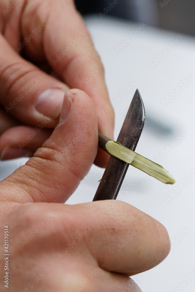 greffage Stock Photo | Adobe Stock