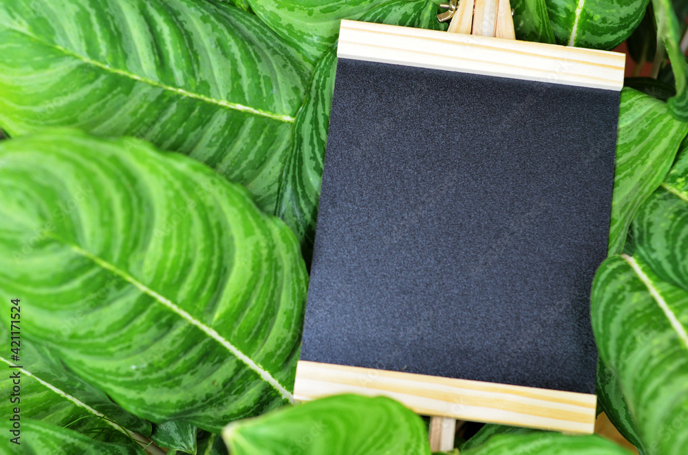 empty standing chalk board on garden. blank black board with blurred ...