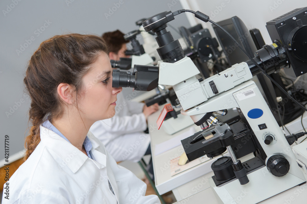 observing a particle under the microscopes Stock Photo | Adobe Stock