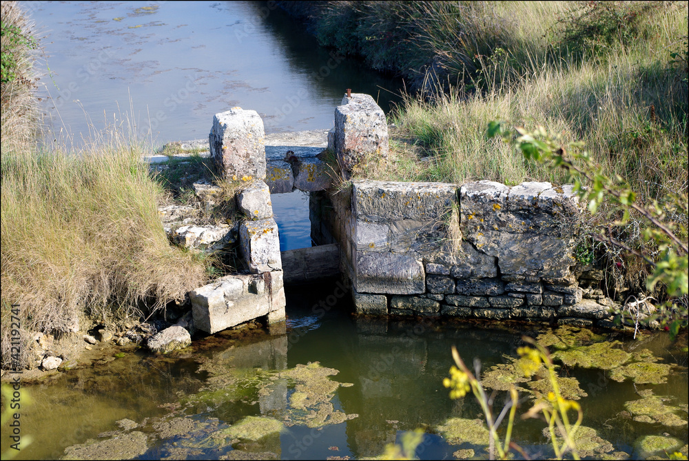 Vanne dans un chenal de l'ile d'Oléron Stock Photo | Adobe Stock