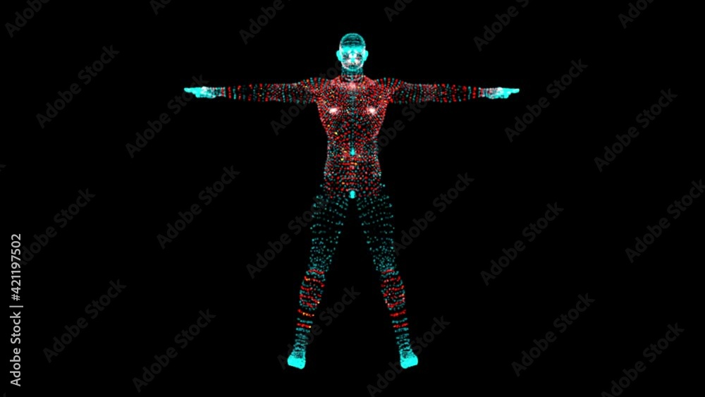 Human body low poly wireframe. Futuristic scan set, human hologram ...