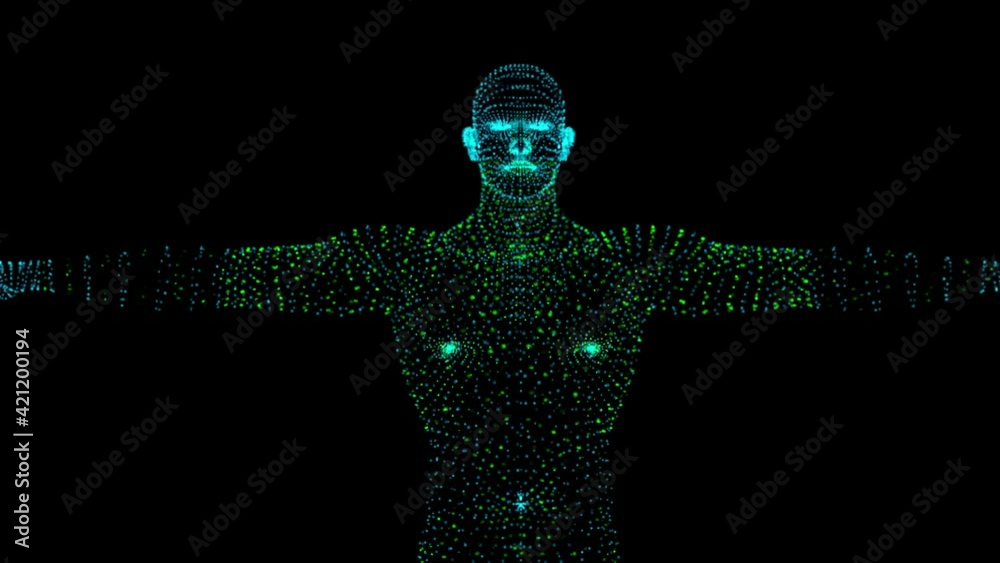 Human body low poly wireframe. Futuristic scan set, human hologram ...