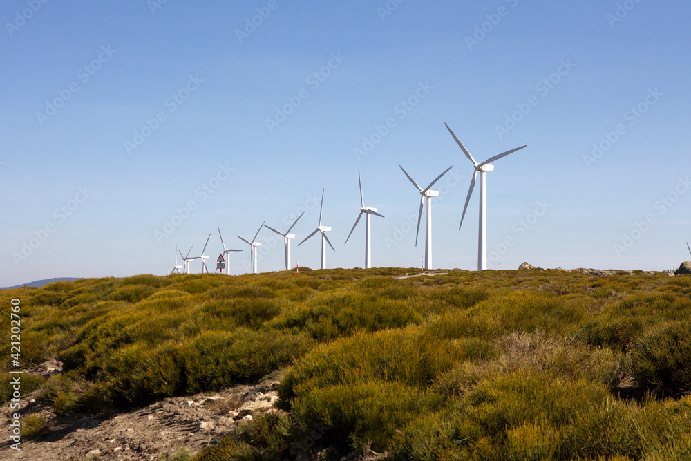 Clean electricity producing wind turbines built on a windy mountain ...
