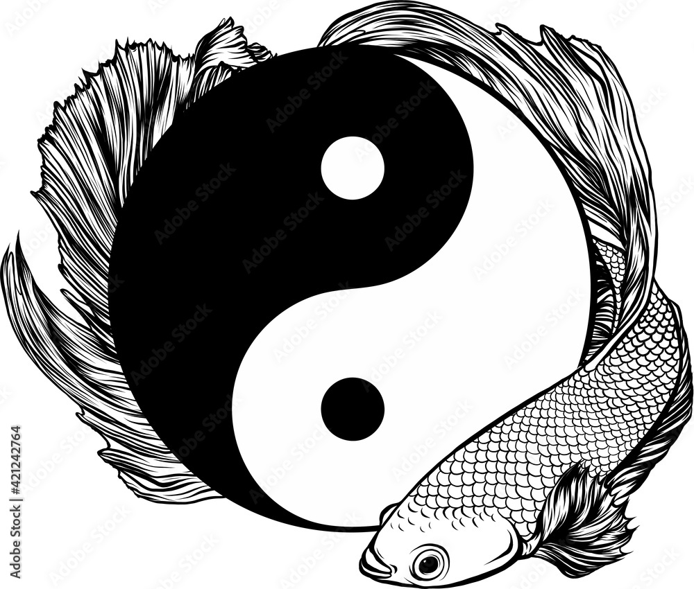 draw in black and white of Yin Yang betta splendens fish vector ...