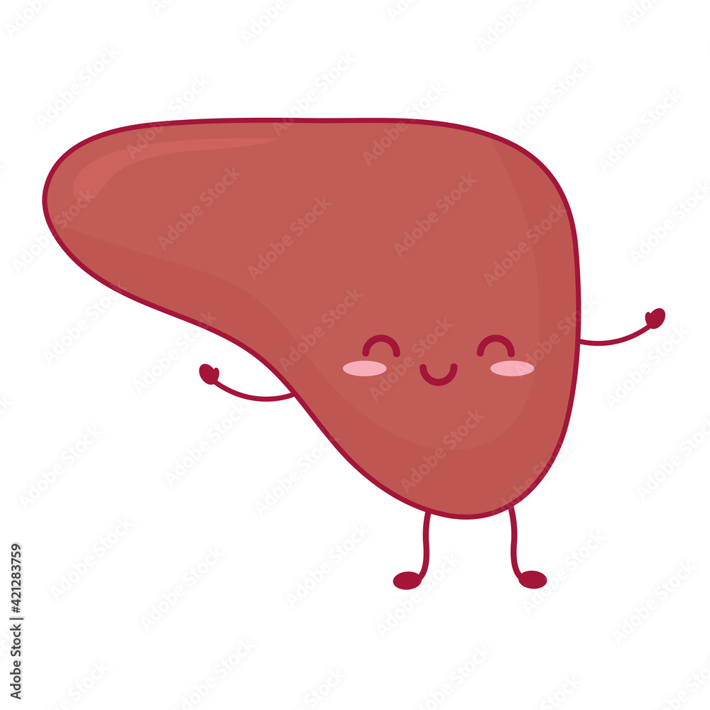 smiling liver isolated Stock Vector | Adobe Stock