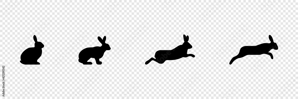 Rabbit Running Sequence