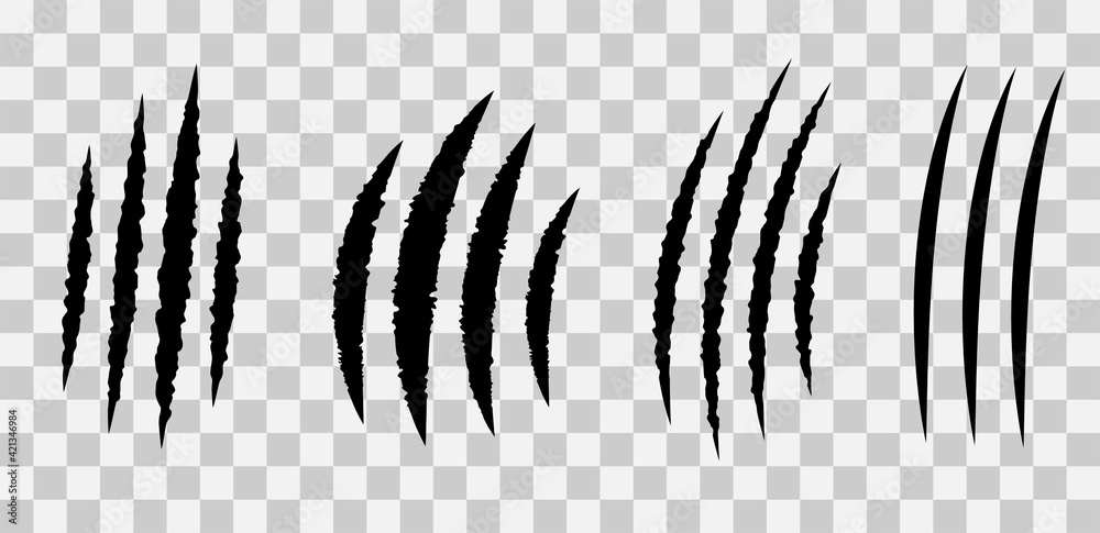 Claw scratches collection. Different claw marks on transparent ...